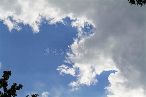 Beautiful Nature Blue Sky With Clouds And Trees Sky Clouds Background