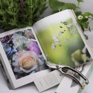 La Maison Vertumne Fleuriste décorateur à Paris
