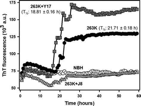 Effects Of Test Compounds On Rt Quic Kinetics With Rprp 90 231 As The Download Scientific