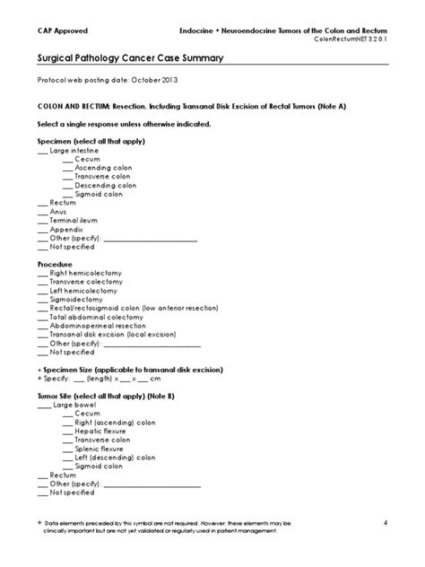 Colon Neuroendocrine Tumour Synoptic Cap Pdf Large Intestine Gastrointestinal Tract Colon Neuroendocrine Tumour Synoptic Cap Pdf Large Intestine Gastrointestinal Tract
