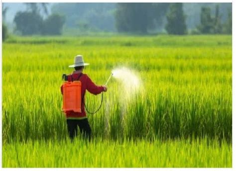 Insecticides At Best Price In Kota Id 2853171162930