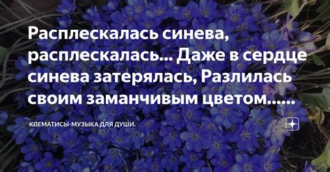 Расплескалась синева расплескалась Даже в сердце синева затерялась