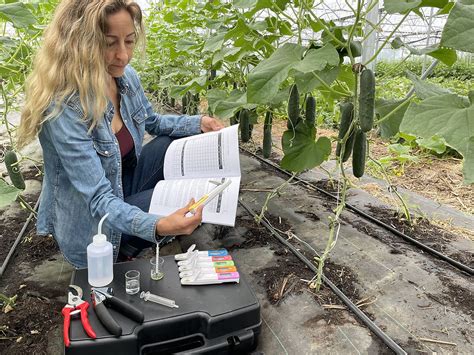 Plant Sap Analysis Complete Guide For Modern Growers