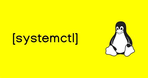 Navigating The Linux File System Hierarchy From Basic To Advanced