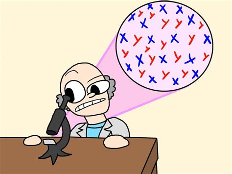 Asu Researchers Study The Impact Of Sex Chromosomes The Arizona State