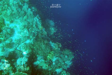 菲律賓、薄荷島｜在地球的裂縫遇見尼莫・巴里卡薩島大斷層浮潛 Balicasag Island 許傑旅行圖中
