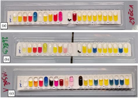 Api 20 E Profiles Of Some Enterobacteriaceae Strains Identified A