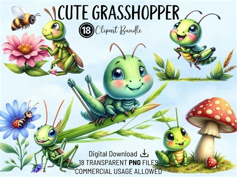 Cute Grasshopper Clipart Bundle Colourful Nursery Grasshoppers High