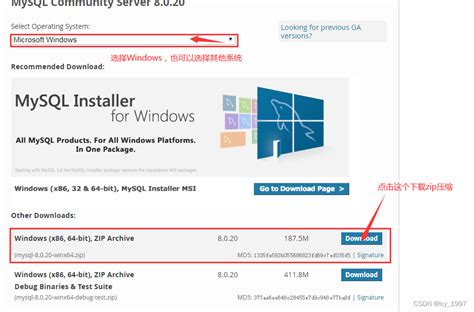 Mysql数据库安装过程mysqldatadll Csdn博客 Mysql数据库安装过程mysqldatadll Csdn博客