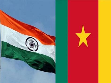 India Cameroon Hold Third Round Of Foreign Office Consultations In