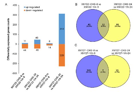 The Differentially Expressed Genes Analysis A The Number Of Degs In Download Scientific