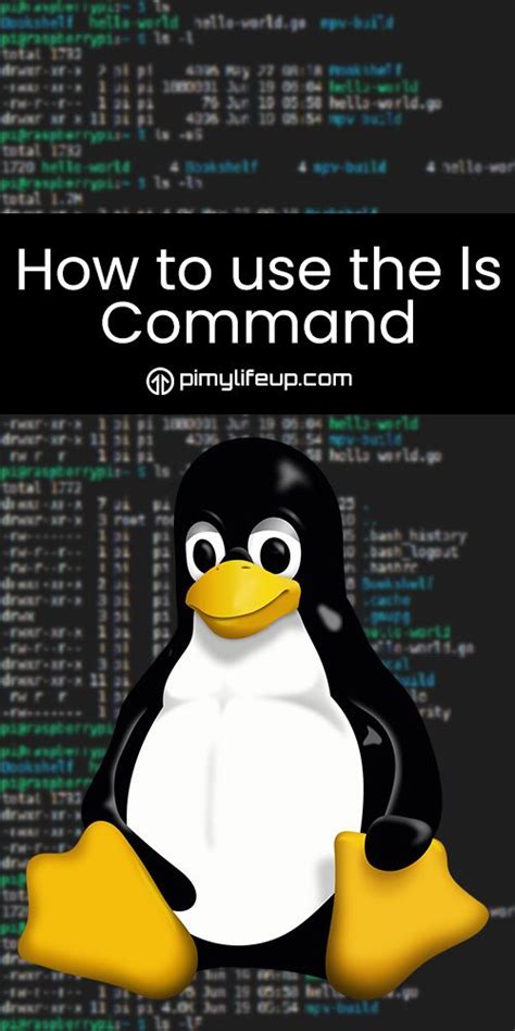 Learn How To Use The Ls Command Artofit