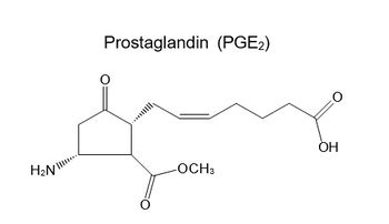 Answered Circle And Name At Least Three Functional Groups In The