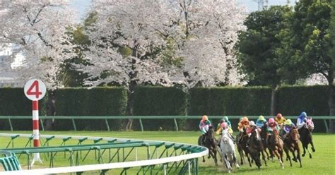 2020年1月8日（水）船橋競馬場1r～12r全レース予想｜馬仙人競馬予想