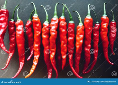 Thin Pods Of Bitter Red Pepper Hanging For Drying On Wall Stock Image