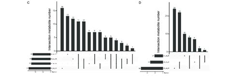Differences In Aroma Components Of Pear Fruits At Different Stages A Download Scientific