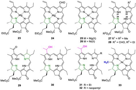 Selected Examples Of Chlorophyll And Bacteriochlorophyll Derivatives