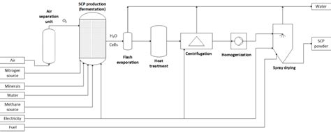 Simplified Process Flow Diagram Of The Reference Methane Scp Production