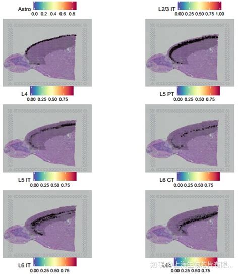 是趋势也是必然：空间转录组和单细胞转录组测序联合应用的典型案例 知乎