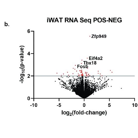 Adipose Tissue Differential Gene Expression Analysis Transcriptional