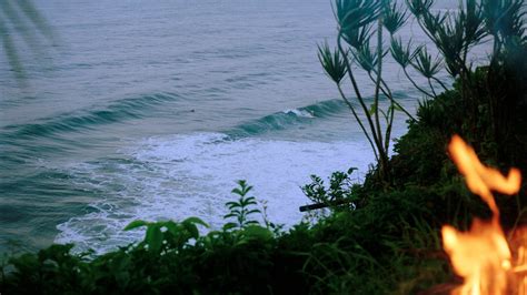 Lookbook Archive Pali Swim