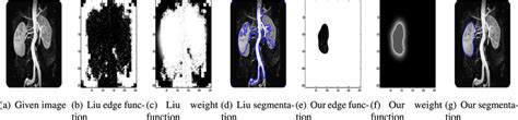 edge and weight function comparison between liu et al 2018 and the download scientific