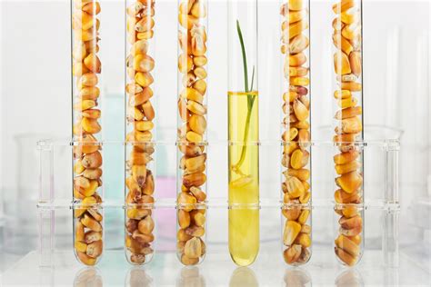 Foodproof® Gmo A2704 12 Soya Quantification Kit Hygiena