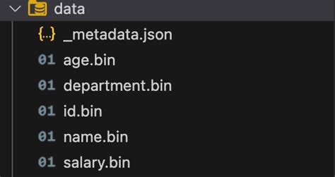 Building A Columnar File Format From Scratch In Python 1 By Fs Ndzomga Thoughts On Machine