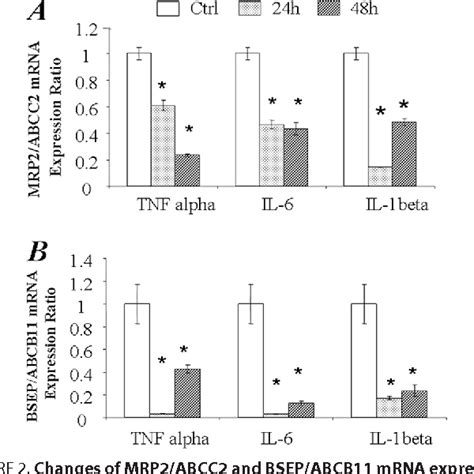 Figure 1 From Regulation Of Mrp2 Abcc2 And Bsep Abcb11 Expression In Sandwich Cultured Human And
