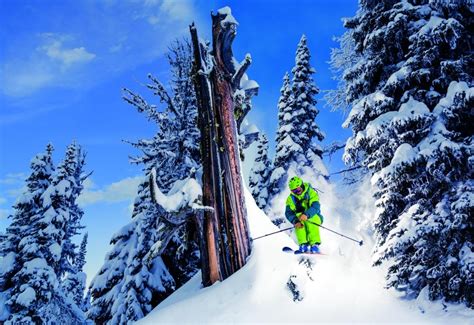 The Best Freeride Skis 2018 2019 Snow Magazine