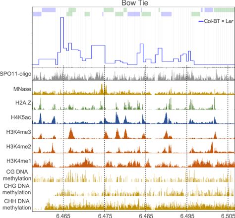 Chromatin Landscape In The Bt Interval Histograms Showing Normalized