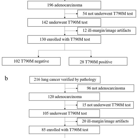 Patient Selection Flowcharts In A The First Affiliated Hospital Of