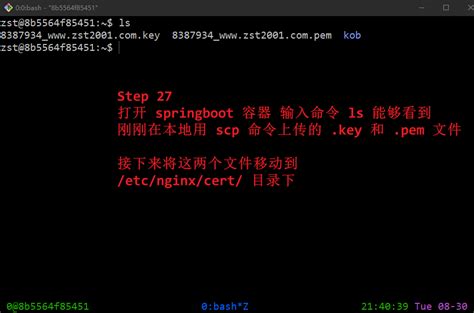 工程课 Springboot 91 Springboot项目部署到个人服务器过程 Acwing