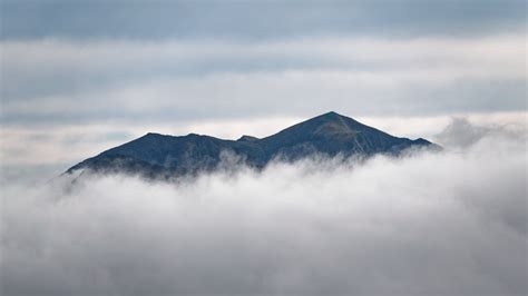 Les Attentes En Photo La Photo Naturellement
