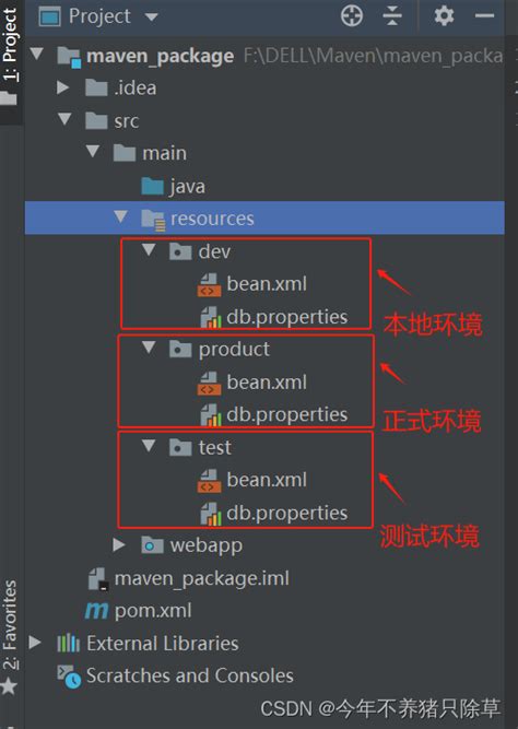 Maven多环境打包策略：目录结构、profile配置与资源管理 Csdn博客