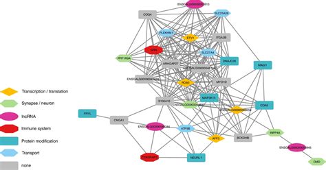 Genegene Interaction Map Of Significant Correlations That Were