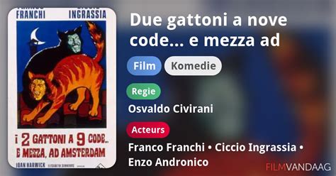 Due Gattoni A Nove Code E Mezza Ad Amsterdam Film 1972