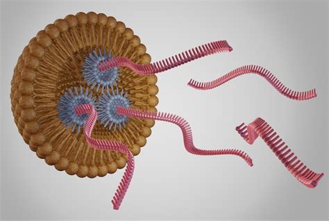 News Gene Editing Tools Delivery Methods And Challenges Crispr