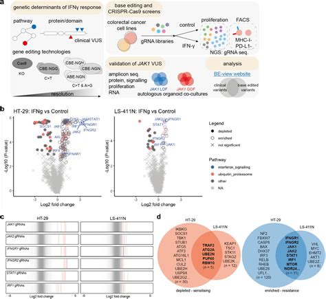 Crispr Cas9 Screens Thermo Fisher Bioz