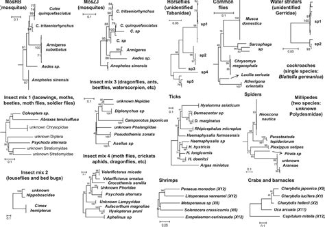 Unprecedented Genomic Diversity Of RNA Viruses In Arthropods Reveals