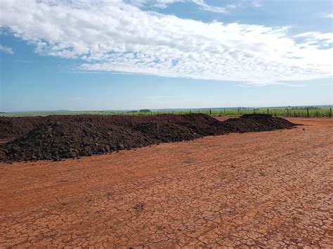 Esg Quais Os Benefícios Da Mineralização Do Esterco Bovino Revista Coplacana