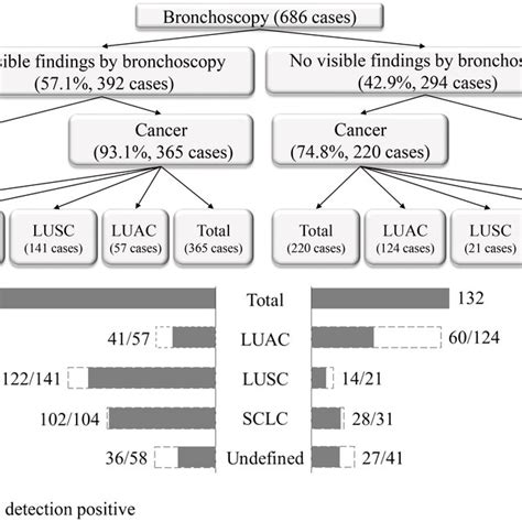 The Comprehensive Diagnostic Process And Result Of Morphological