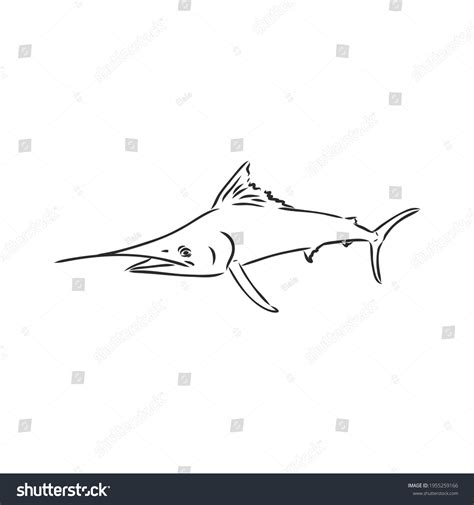 Hand Drawn Swordfish Vector Illustration Sketch Stock Vector Royalty