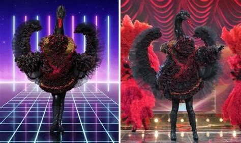 Masked Singer Season 5 Black Swan The Masked Singer Cast Of Season 3