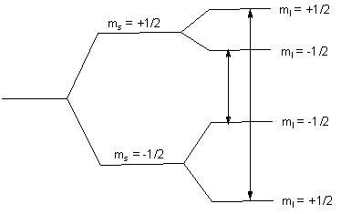 Vanadium Chemistry Electron Paramagnetic Resonance EPR