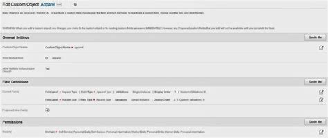A Blog About Learning Workday Hcm How To Set Up A Workday Custom Object