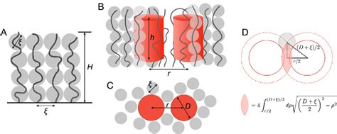 Brush Induced Depletion Interactions A Illustration Of Brush Download Scientific Diagram