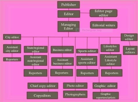 Newspaper Hierarchy Chart A Visual Reference Of Charts Chart Master