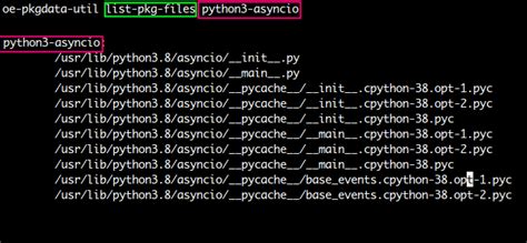 Nf Bitbake Args Bitbake Commands Oe Pkgdata Util