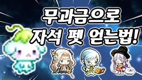 무과금으로 자석 펫 얻는법 Youtube